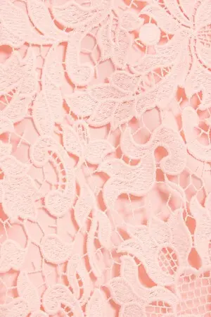 Alice + Olivia Babbette Guipure Lace Midi Dress