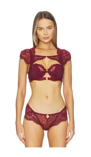 THISTLE AND SPIRE Daphne Bra - Burgundy
