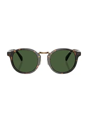 Polo Ralph Lauren Circular Sunglasses - Shiny Dark Havana $ Bottle Green