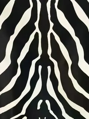 Khaite Loxley Zebra-print Midi Skirt