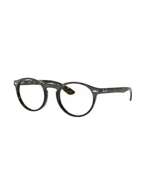 Ray-ban Round Frame Glasses