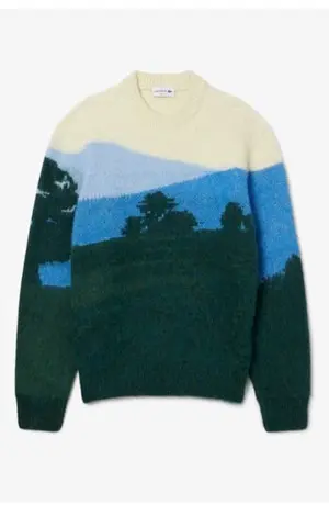 Lacoste Patterned Sweaters For Men