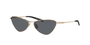 Saint Laurent Saint Laurent Sunglasses