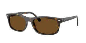 Ray-ban Sunglasses - Polarized Brown