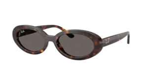 Ray-ban Sunglasses Dark Grey
