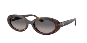 Ray-ban Sunglasses Grey Gradient Polarized