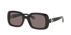 Chloé Sunglasses CH0333S Grey