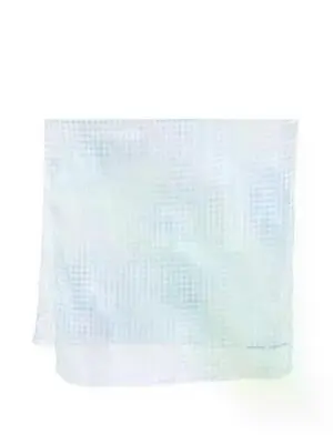 Ermanno Scervino Gingham Scarf - Blue