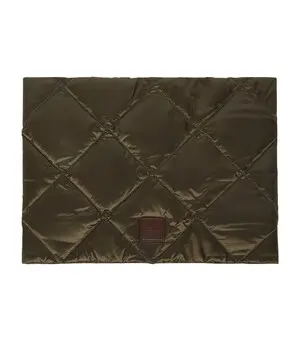 Max Mara Water-repellent Canvas Padded Collar