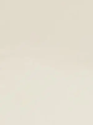 Stella McCartney Platform Sandals - Neutrals
