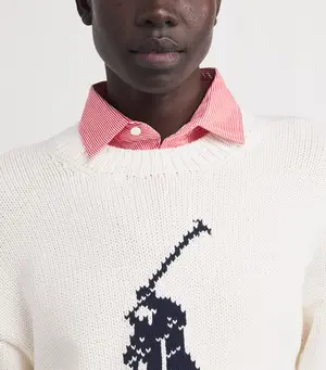 Polo Ralph Lauren Jacquard Polo Pony Sweater