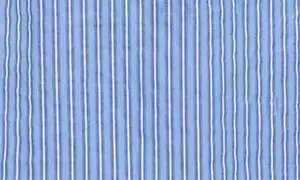 Foxcroft Esther Belted Stripe Cotton Shirtdress - Blue Multi