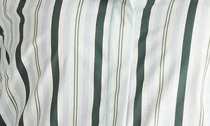 Universal Standard Elbe Stretch Poplin Button-up Shirt - Green/white Stripe