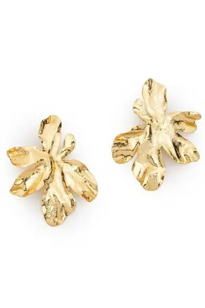 Natori Gold Earrings