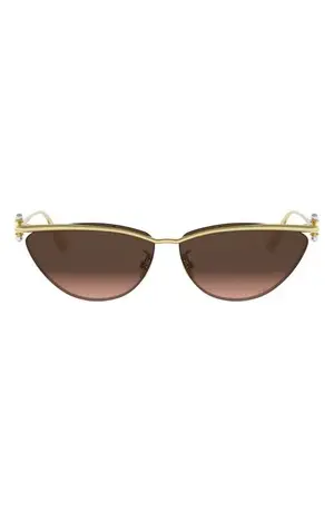 Dior Tribales B2u 61mm Cat Eye Sunglasses - Shiny Gold Dh/roviex