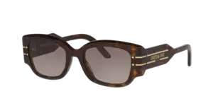 Dior Diorsignature S13i Sunglasses - Brown Gradient