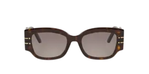 Dior Diorsignature S13i Sunglasses - Brown Gradient