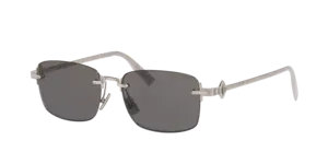 Dior Cd Diamond S11u Sunglasses - Grey