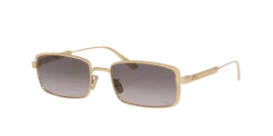 Dior Diorcannage Sunglasses - Grey Gradient