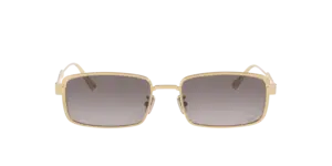 Dior Diorcannage Sunglasses - Grey Gradient