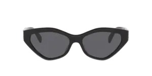 Celine Triomphe Sunglasses - Grey