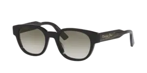 Dior Label R1i Sunglasses - Grey Gradient