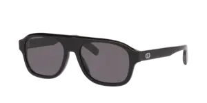 Dior Cd Icon A1i Sunglasses - Grey