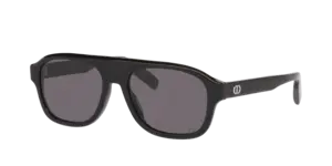 Dior CD Icon A1I Sunglasses Grey