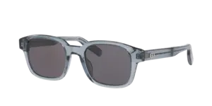 Dior Cd Icon S4i Sunglasses - Grey