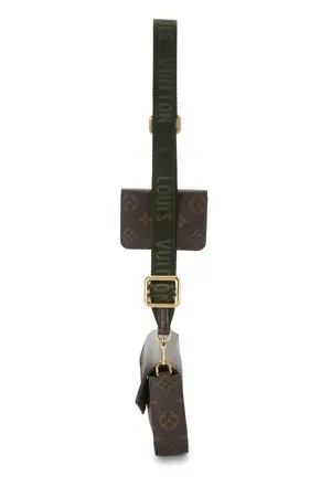 LOUIS VUITTON Monogram Felicie Strap & Go - Brown