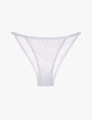 Araks Sheer Briefs For Women