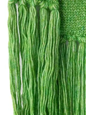 Essentiel Antwerp Fringed Knitted Scarf