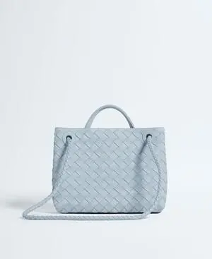 Bottega Veneta Small Andiamo Top-handle Bag