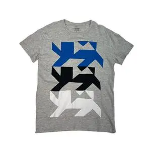 REET AUS T-shirt Lion - Grey/blue/black