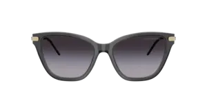 Emporio Armani Sunglass Ea4251f