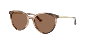 JIMMY CHOO Sunglass Jc5060f Dark Brown
