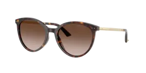 JIMMY CHOO Sunglass Jc5060f Gradient Brown
