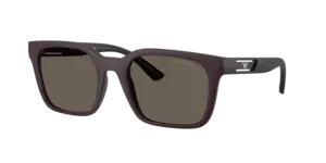 Emporio Armani Sunglass Ea4269f - Brown