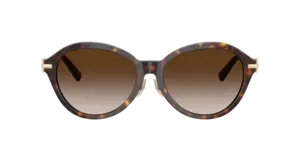 Tiffany & Co. Sunglass Tf4259f - Brown Gradient