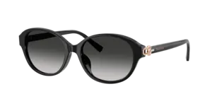 Tiffany & Co. Sunglass Tf4263d - Grey Gradient