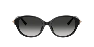 Tiffany & Co. Sunglass Tf4263d - Grey Gradient