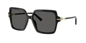 Tiffany & Co. Sunglass Tf4260u Dark Grey