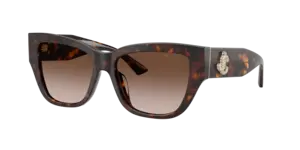 JIMMY CHOO Sunglass Jc5039bu - Gradient Brown