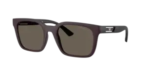 Emporio Armani Sunglass Ea4269 - Brown