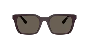 Emporio Armani Sunglass Ea4269 - Brown