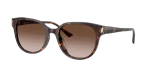 JIMMY CHOO Sunglass Jc5057d Gradient Brown