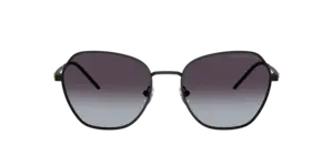 Emporio Armani Sunglass Ea2161 - Grey Gradient
