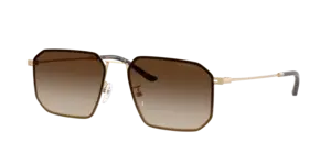 Emporio Armani Sunglass Ea2165d - Gradient Brown