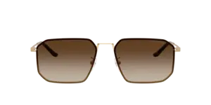 Emporio Armani Sunglass Ea2165d - Gradient Brown