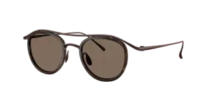 Giorgio Armani Man Sunglass Ar6179t Brown